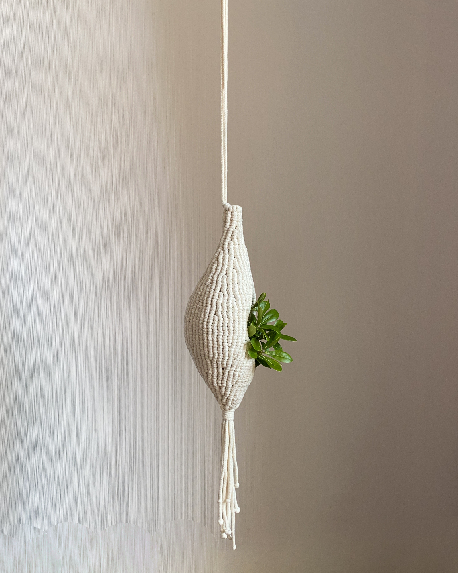 MACRAME TUTORIAL Cocoon Plant Hanger • Curious Craft Studio